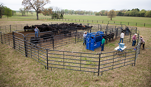 Priefert Manufacturing