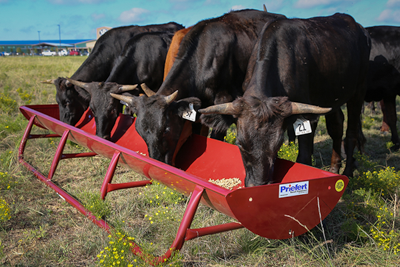 Priefert Manufacturing