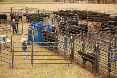 Priefert Manufacturing