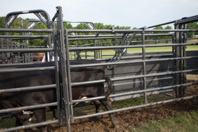 Priefert Manufacturing