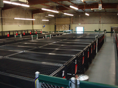 Priefert Manufacturing