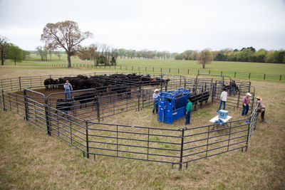 Priefert Manufacturing