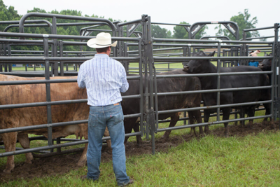 Priefert Manufacturing