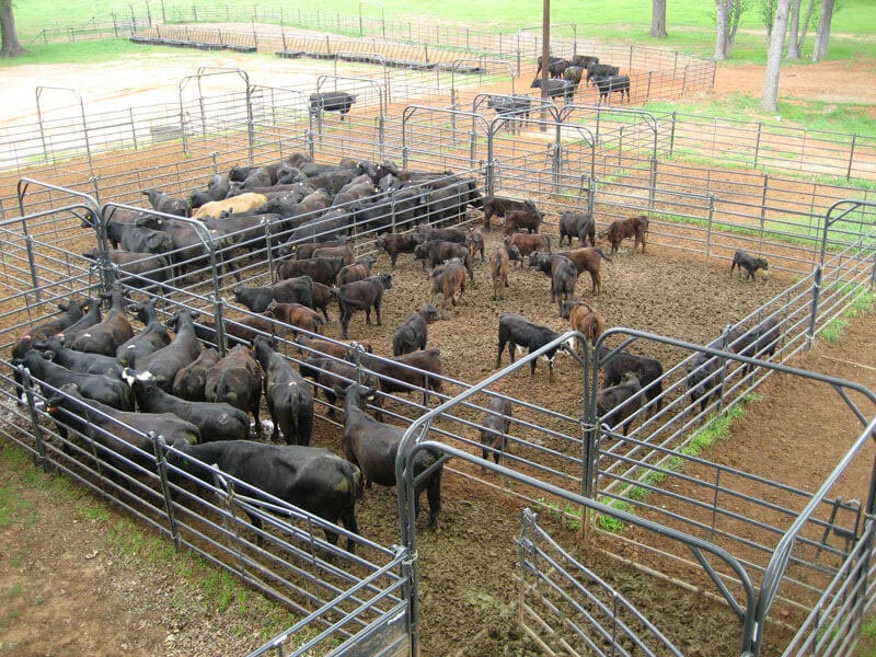 Priefert Manufacturing