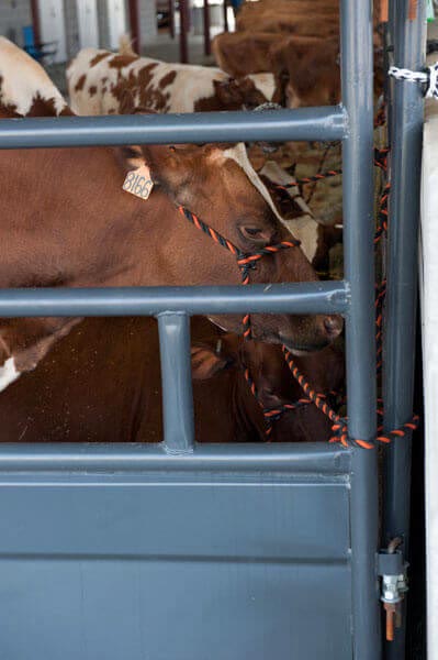 Priefert Manufacturing