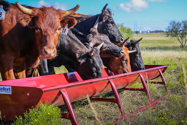 Priefert Manufacturing