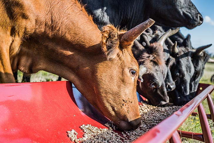 Priefert Manufacturing