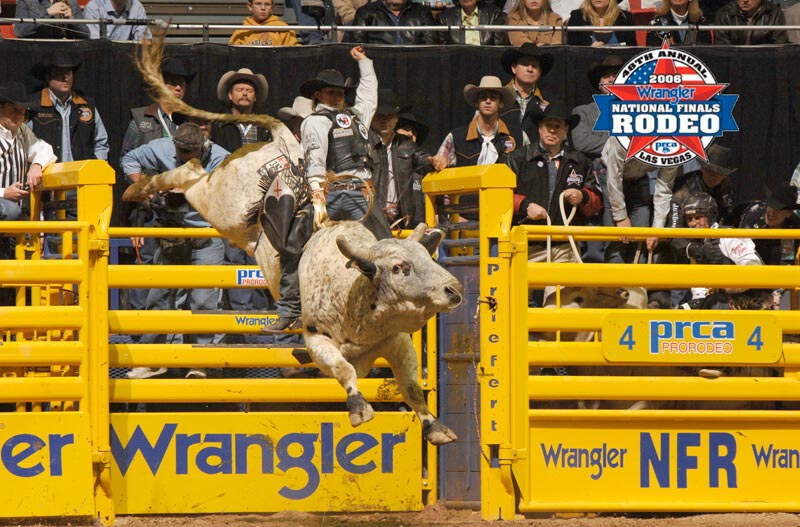 Priefert Manufacturing