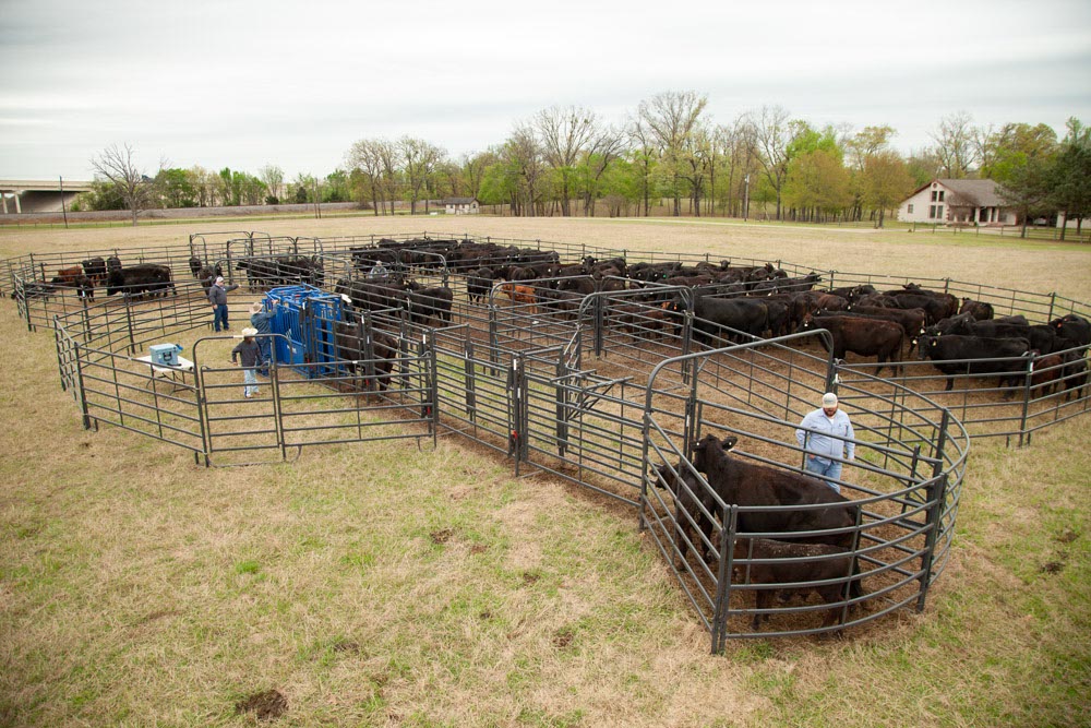 Priefert Manufacturing