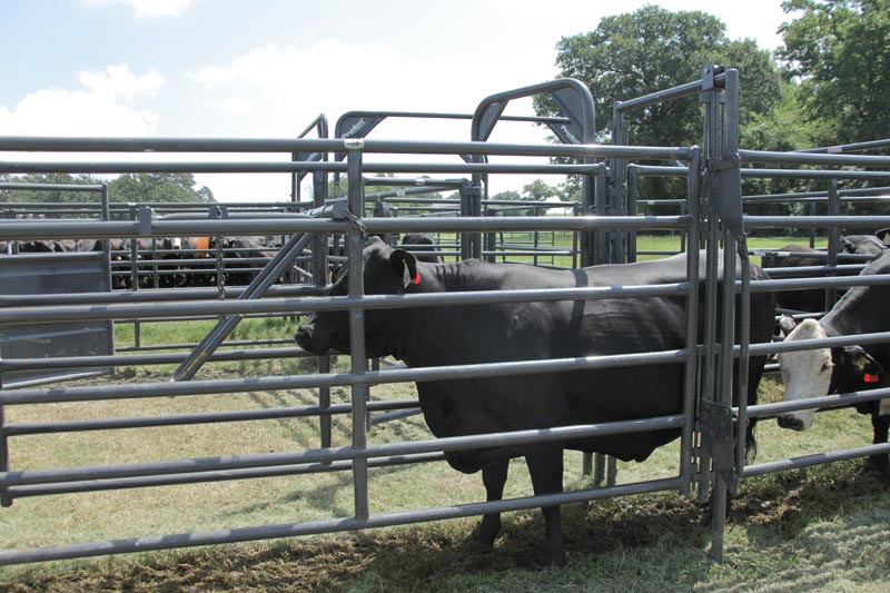 Priefert Manufacturing