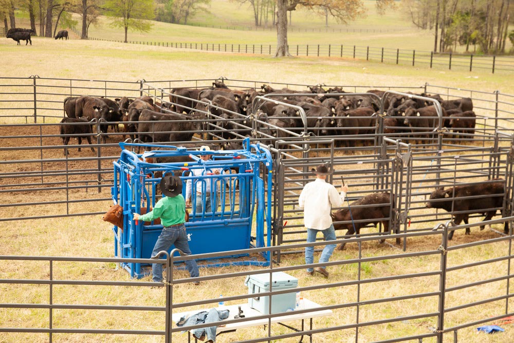 Priefert Manufacturing