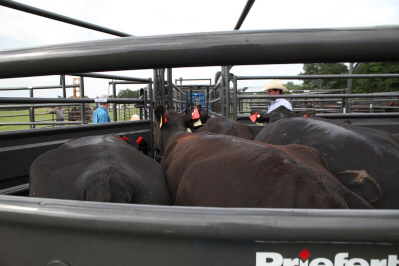 Priefert Manufacturing