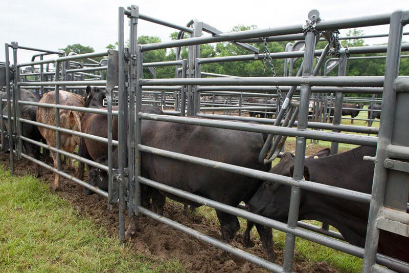 Priefert Manufacturing