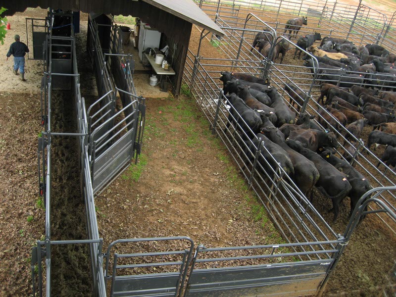 Priefert Manufacturing