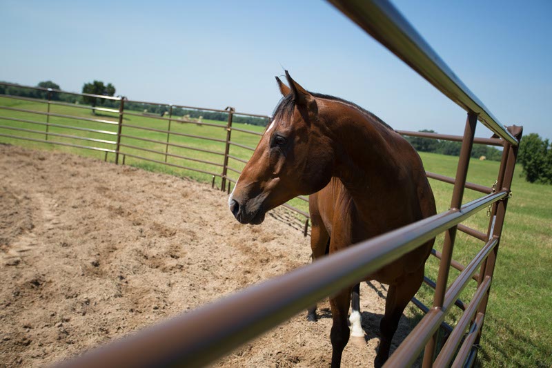 Priefert Manufacturing